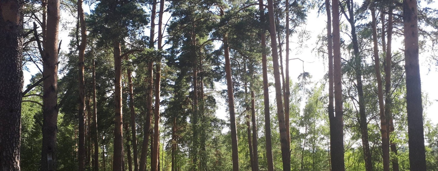 Солнце.ру - экологичные строительные материалы