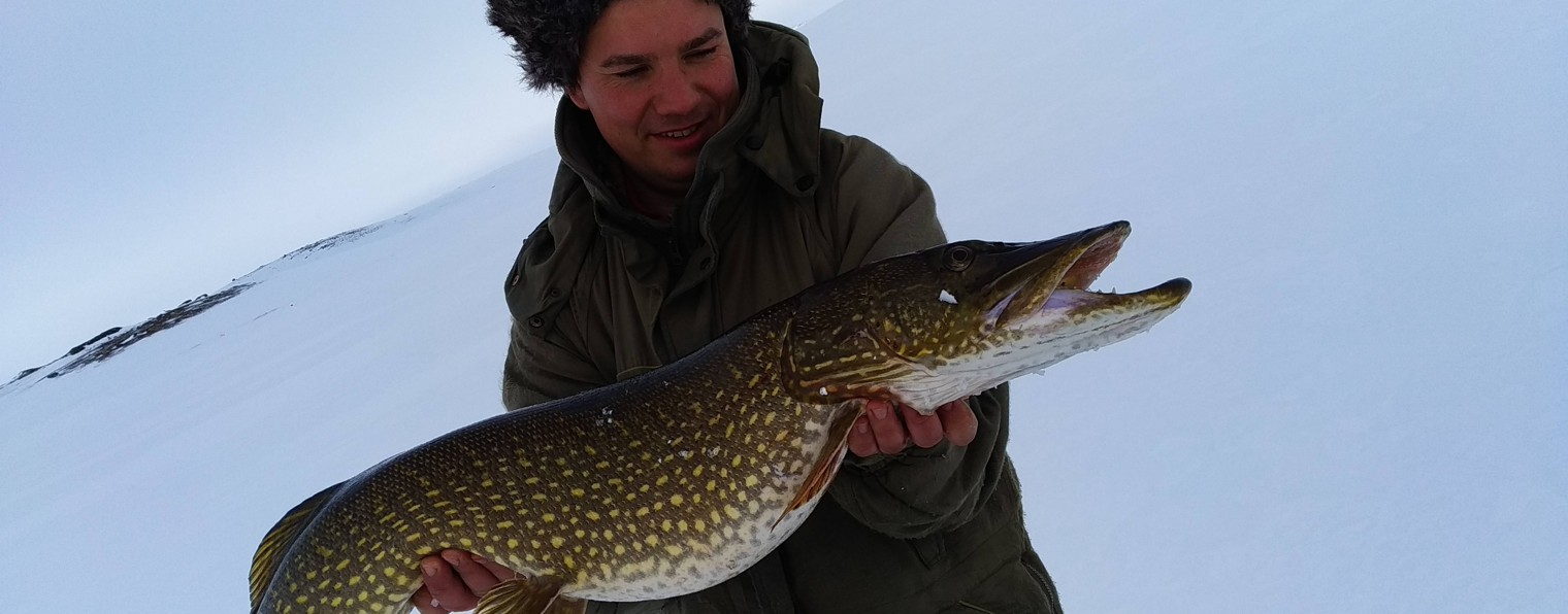 Северная дичь