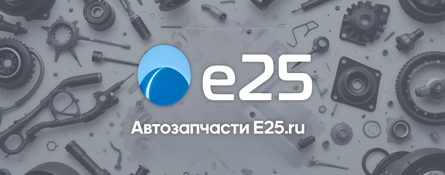 E25.ru Автозапчасти