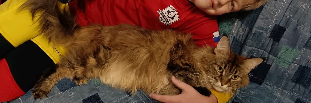 Кубанская семья