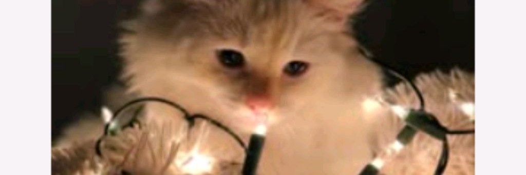 Крутая Соня😎