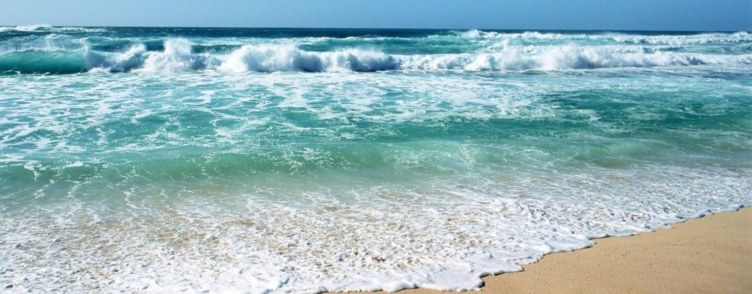 Евгения Брайд