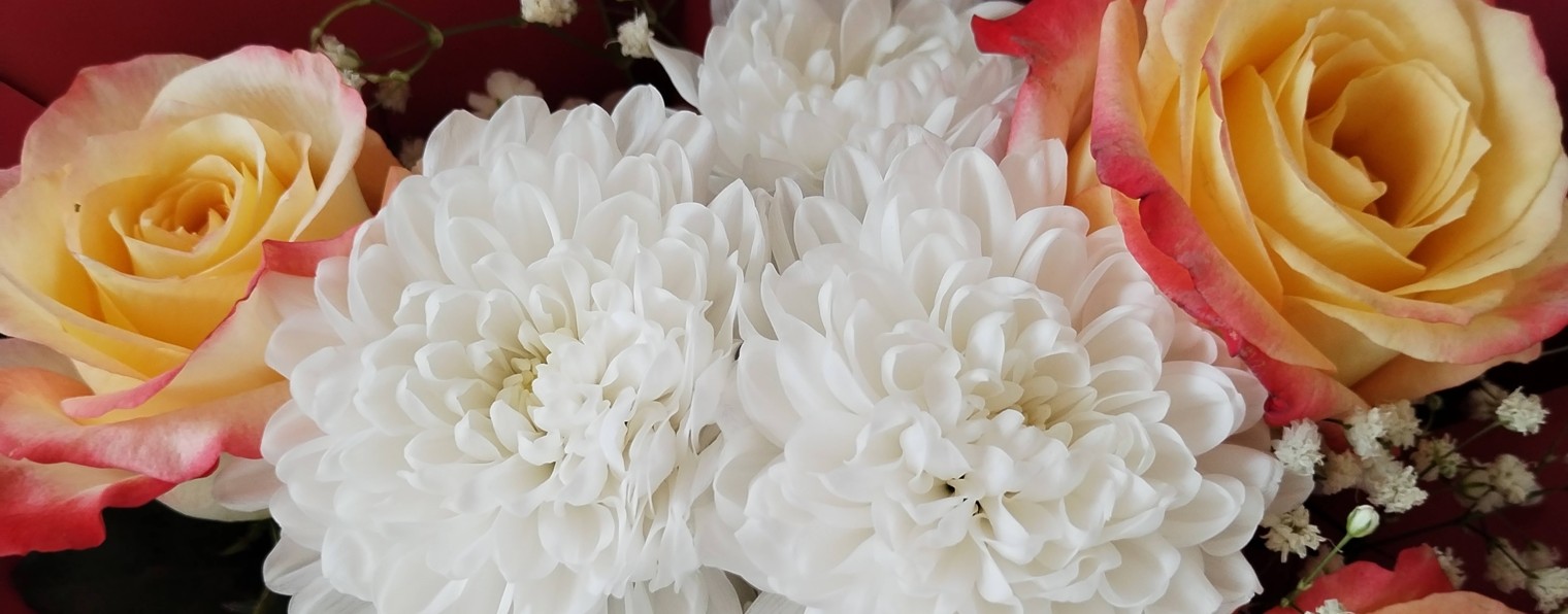 Вязание и вдохновение 🧶