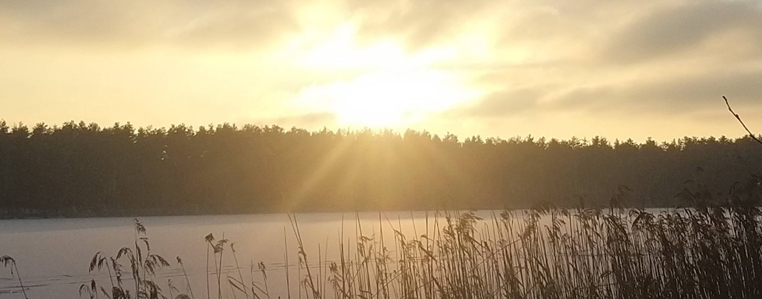 Дерево и Травы • Живая еда и природный интерьер