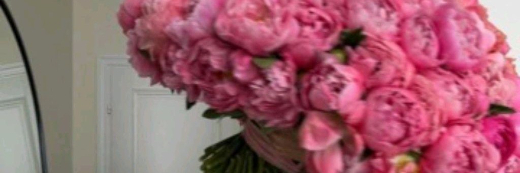 Знаки зодиака