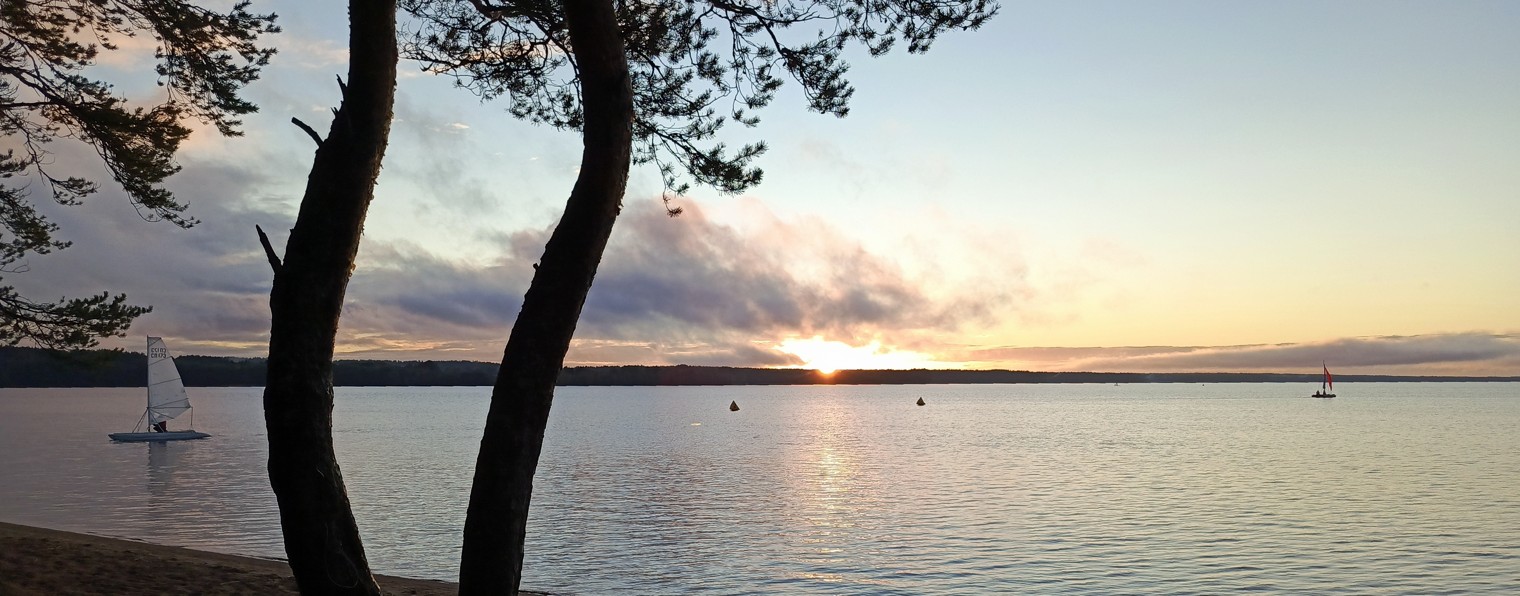 Андрей Птицын