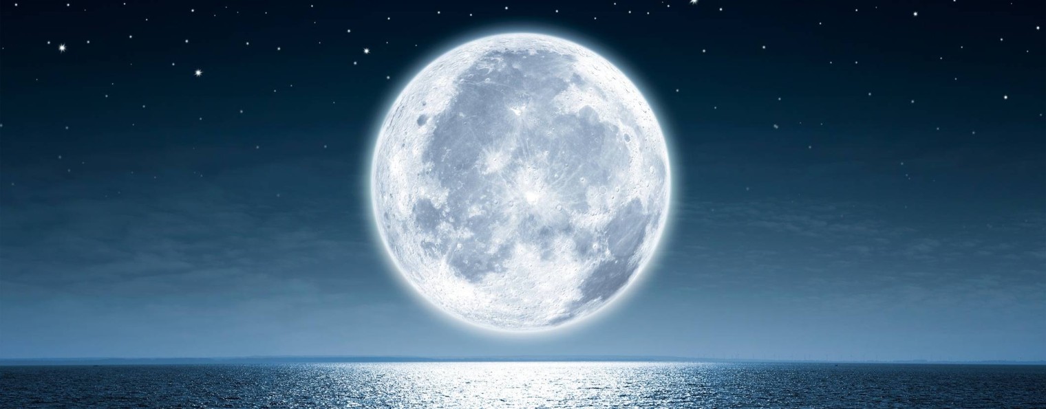 Пофиктолог