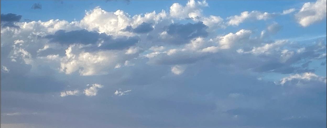 Без названия