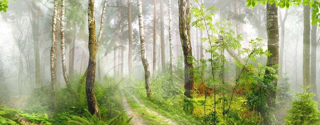 Валентина  Дробышева