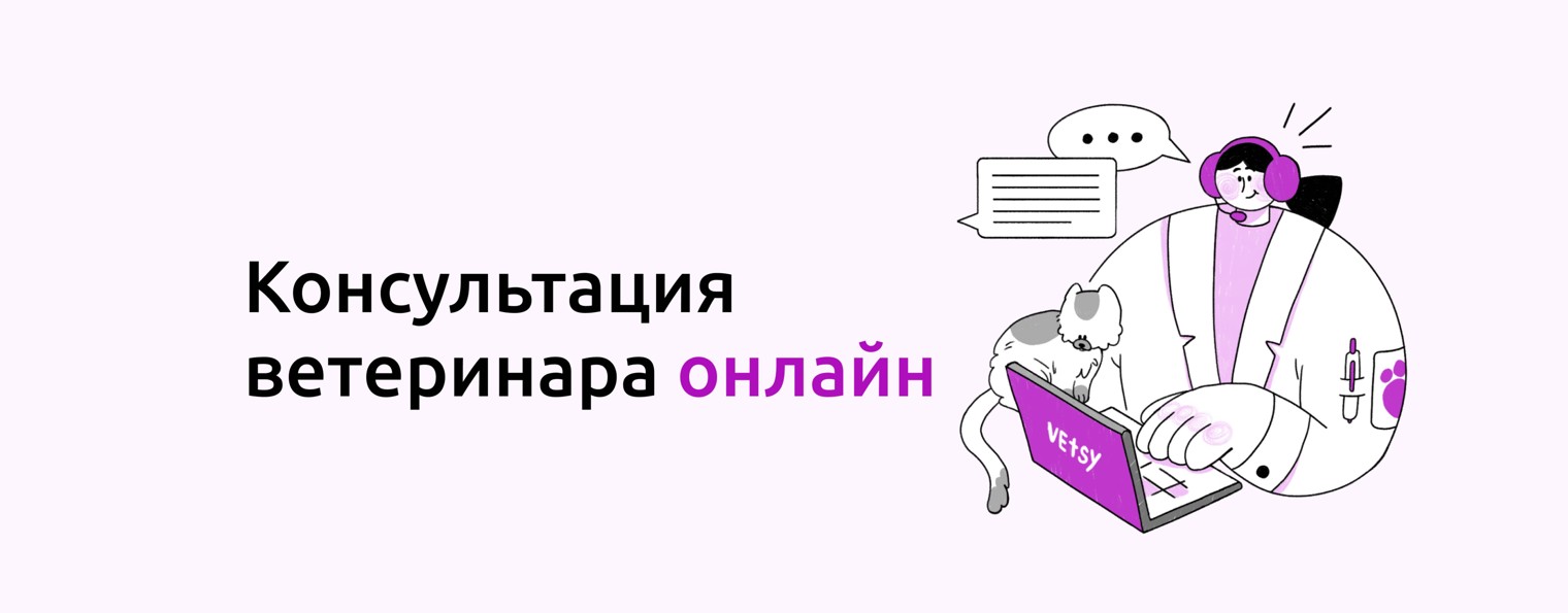 Vetsy - платформа для выбора ветеринарных врачей