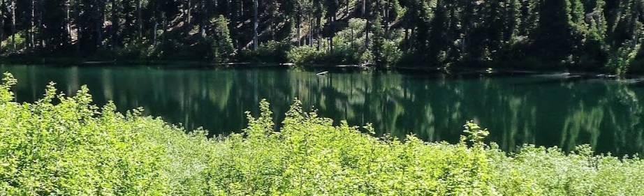 Школа 3 Амурск