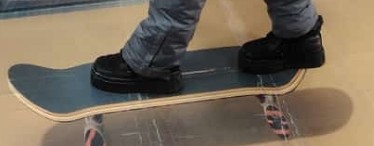 Элис скелетон