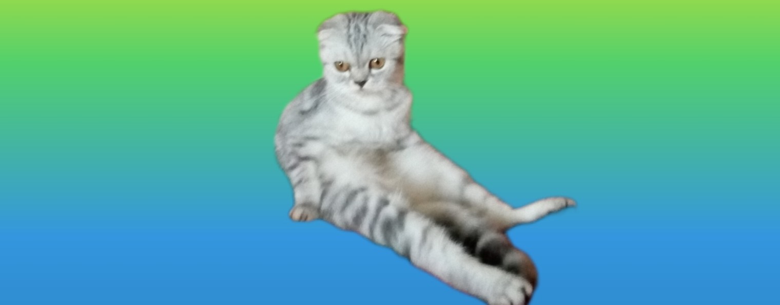 Викуся И Буся