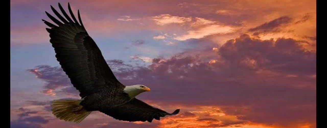 Истина рядом