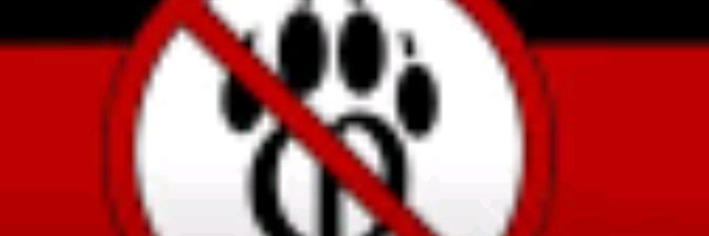 🟠JUGGERNAUT CAMERAMAN🟠