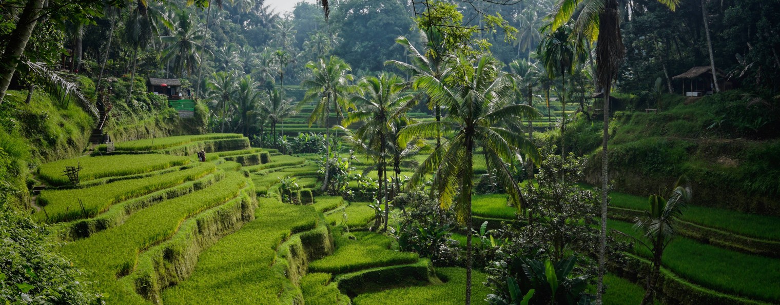 Антон Крылов