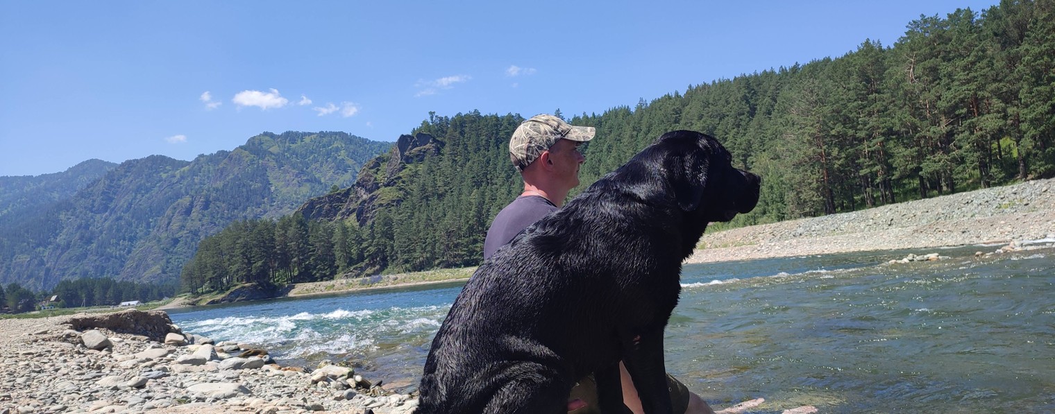 Вместе с лабрадором