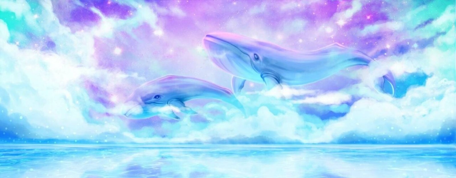 Мира Два Мира