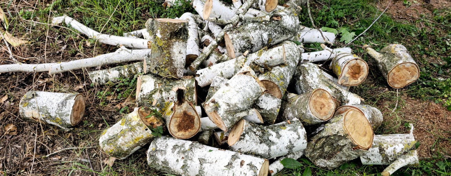 Инструкция как