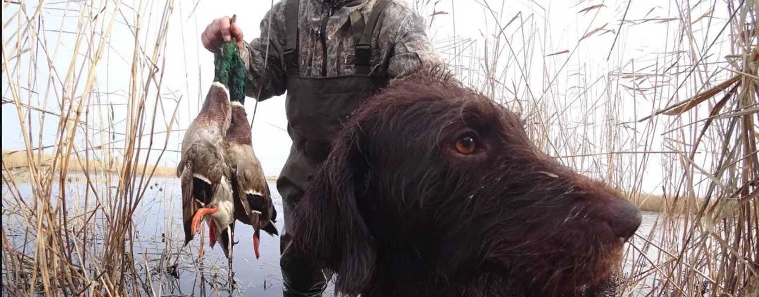 Олег54изСибири