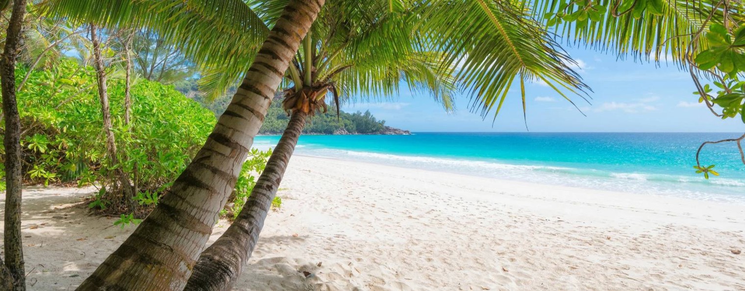 Агентство МВиза