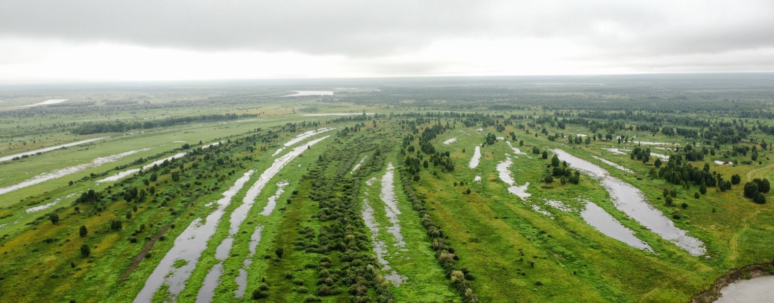Отморозки бездорожья