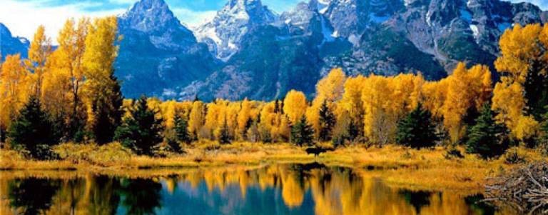 Мир под лупой