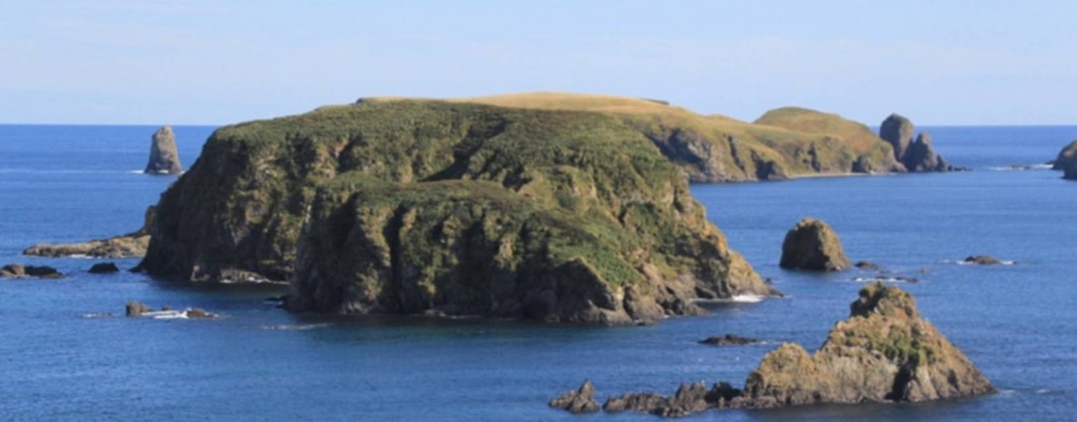 Авторские рассказы Игоря Фишелева