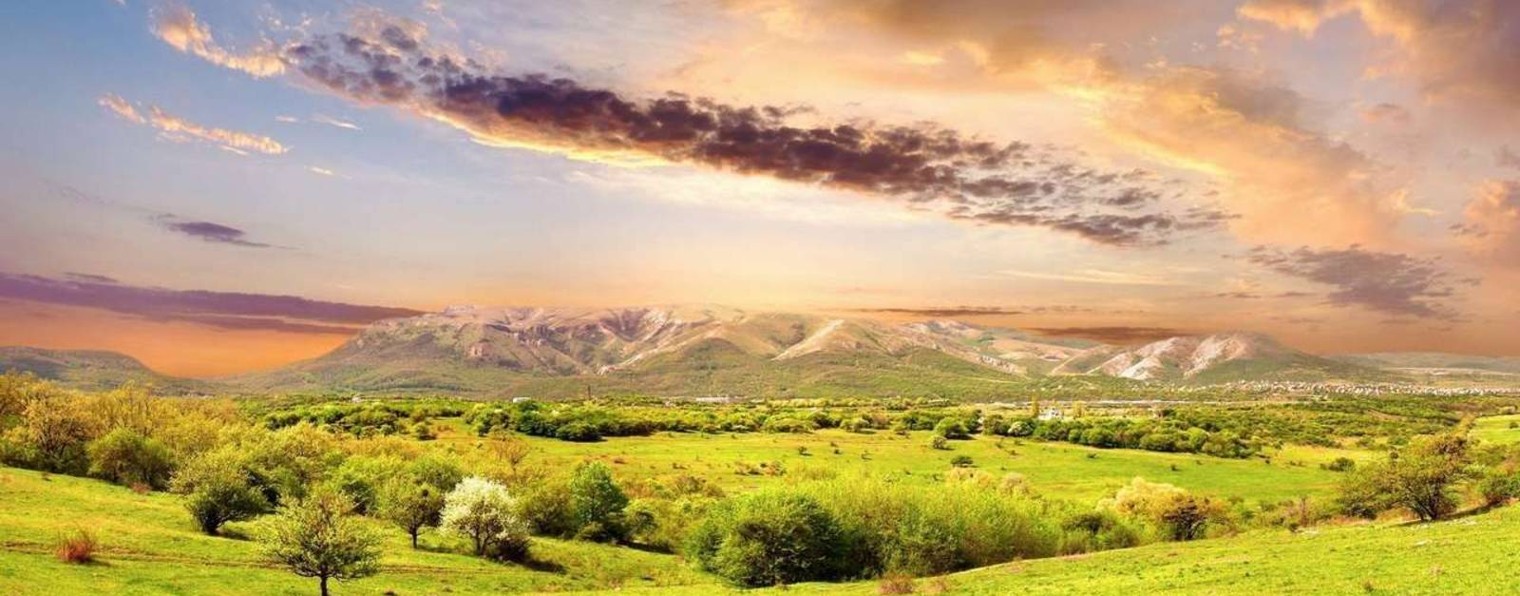 АльфияХафиз