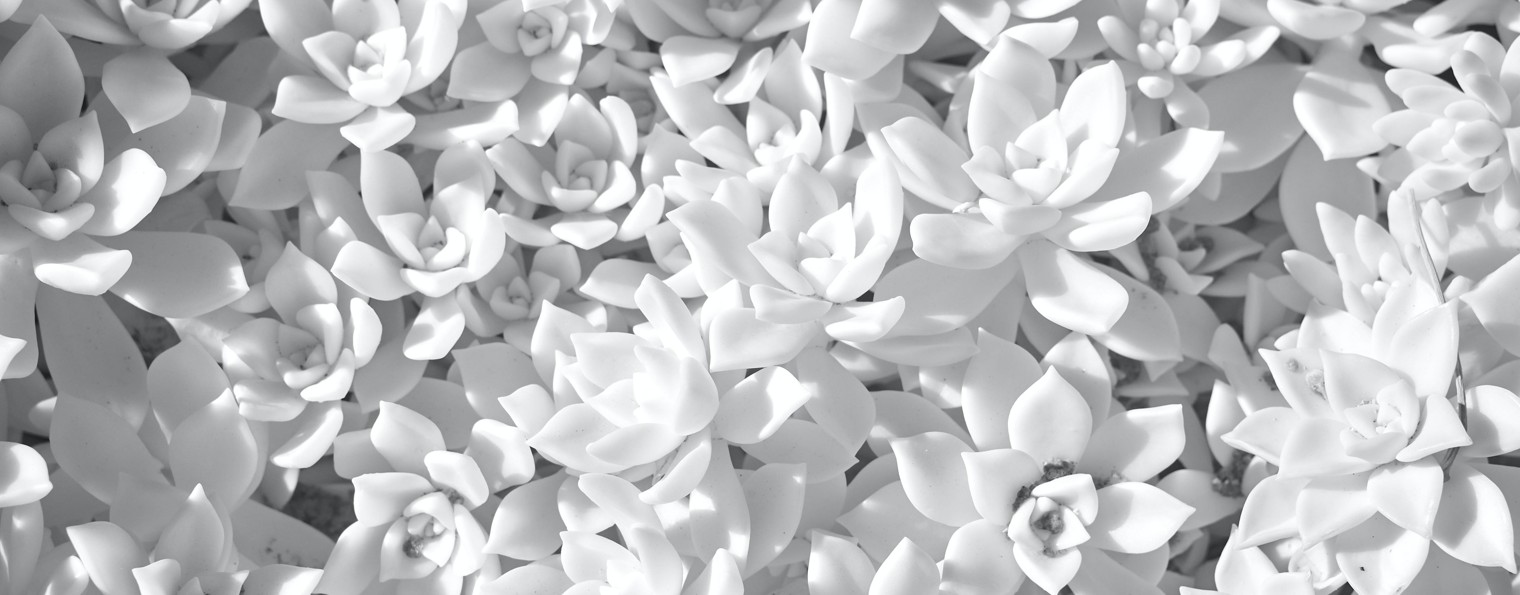 Спасение во Христе