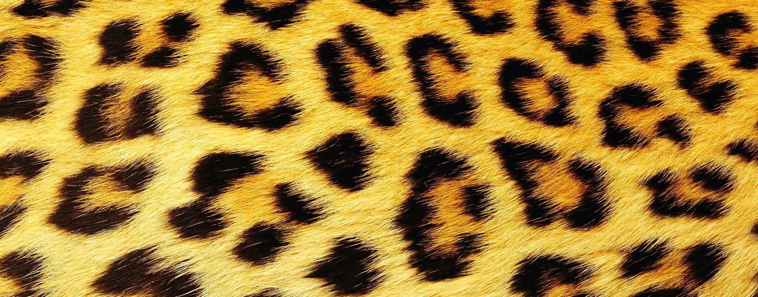 Русская Зима