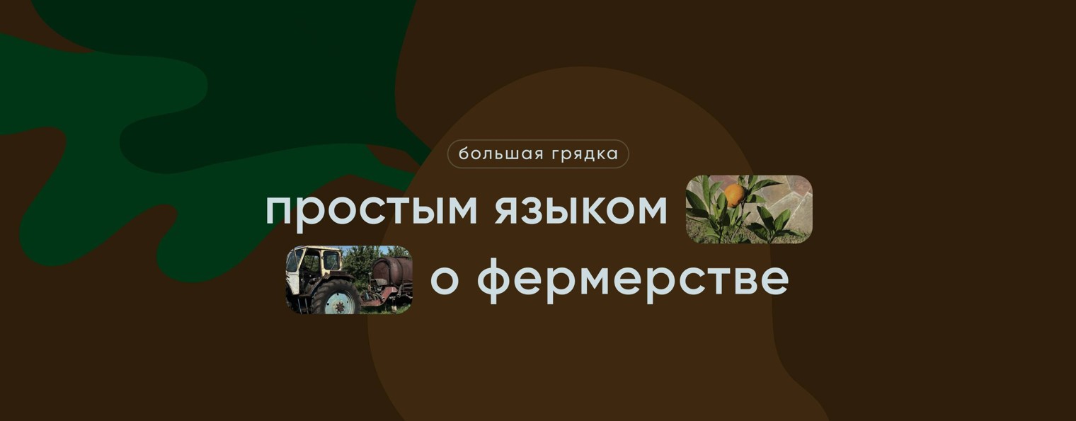 Большая грядка