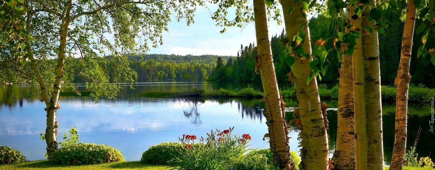 Звуки Вокруг Нас ASMR