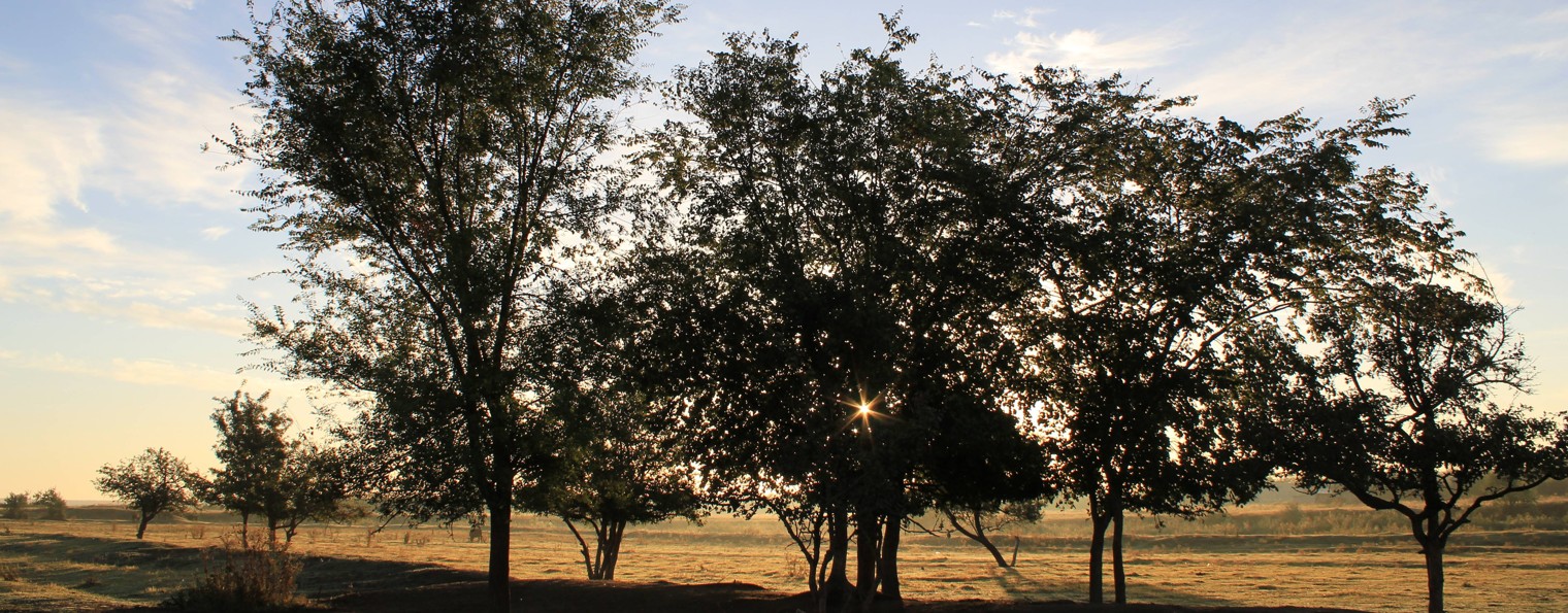 Песни Михаила Жеребкова