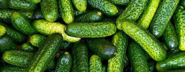 cucomber
