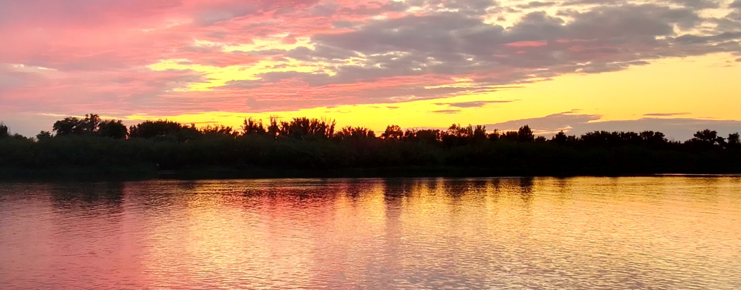 Михаил Долгушев