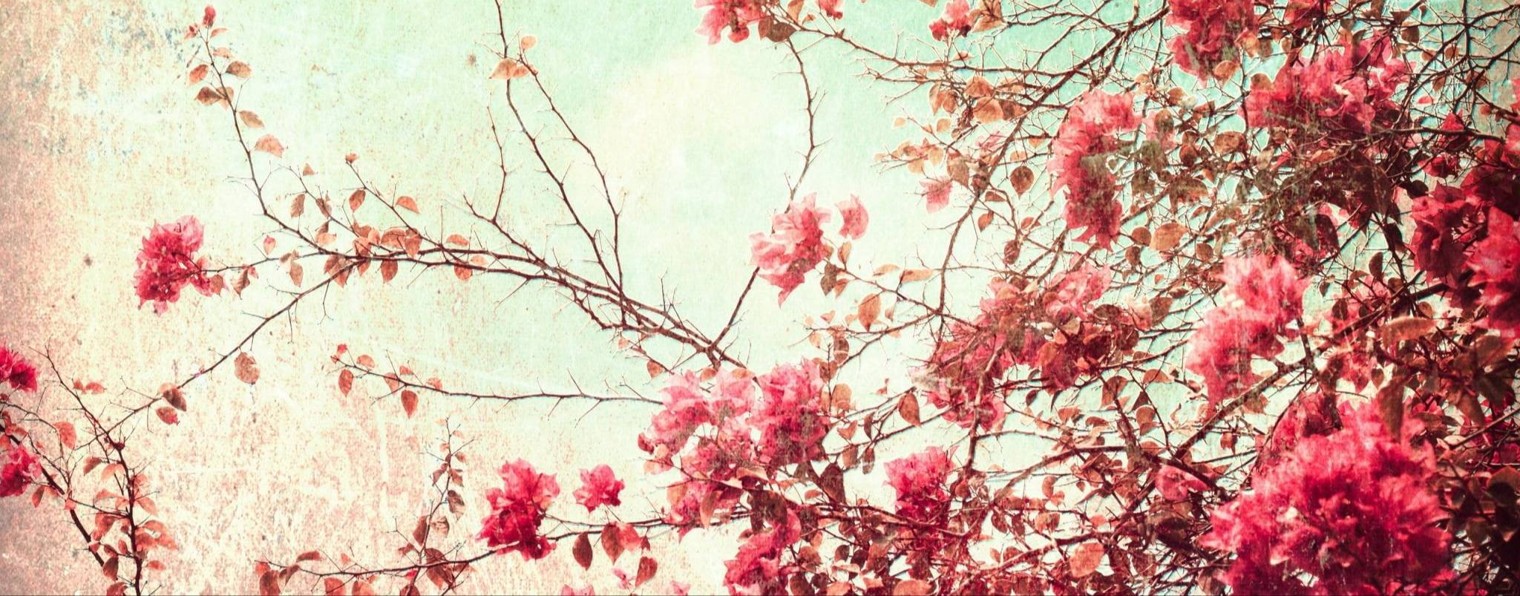 Ольга Медянцева