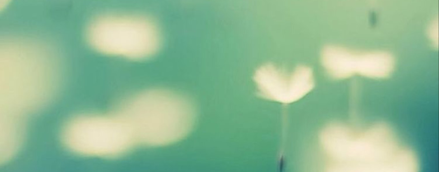 Еле читает | книги