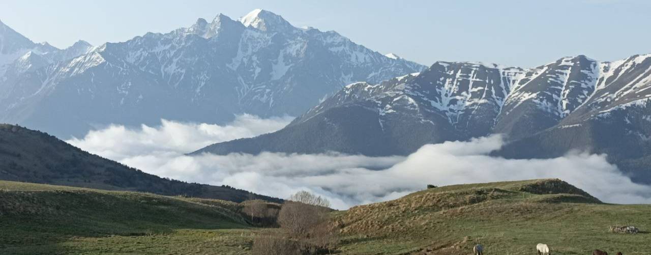 Михаил Коёкин