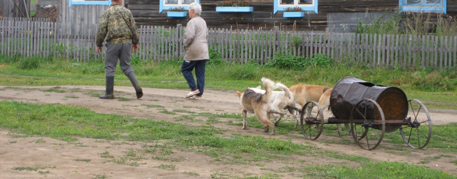 Кафедра языков народов Сибири ТГПУ