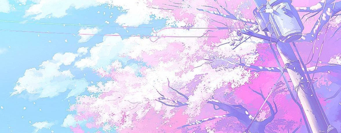 Владислав Ворон