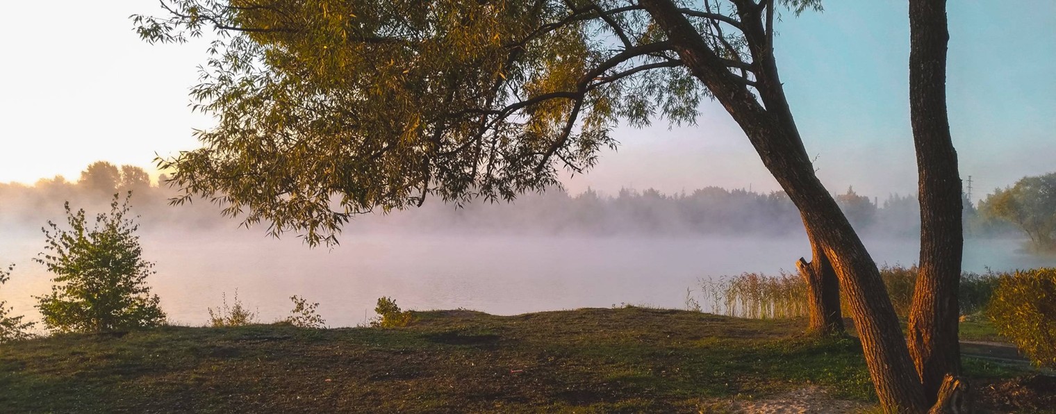 Конкурсные видео
