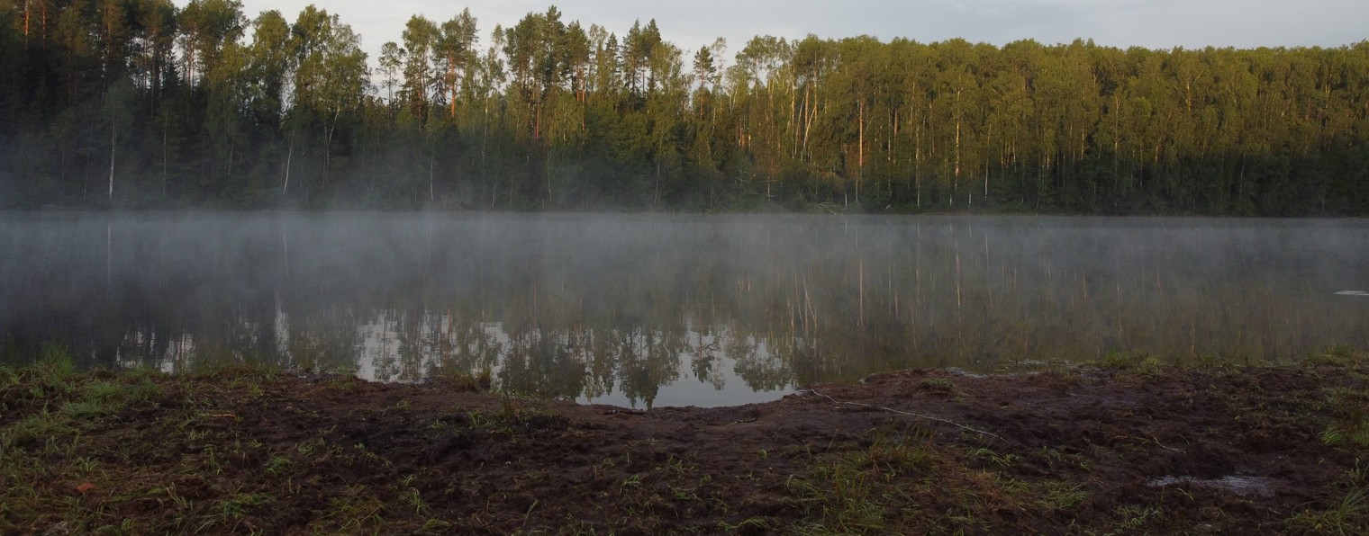 Виктор Догадкин