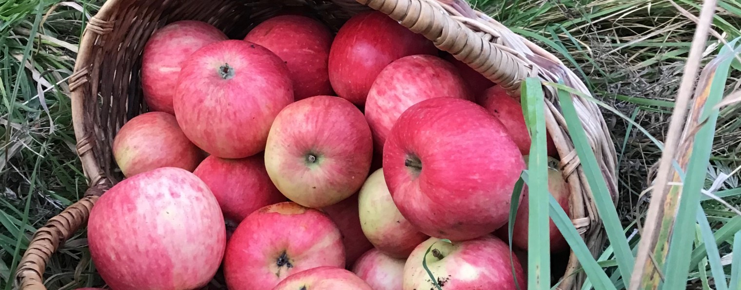 Добрый Дом на хуторе Остапенко