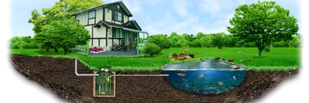 Александр Емельчев / Компания «БиоГарант»