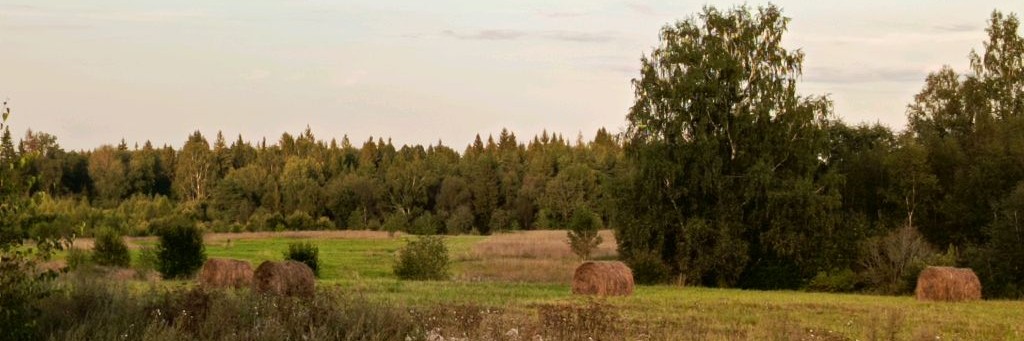 ТранзисторЫ. Алёша Смешной.