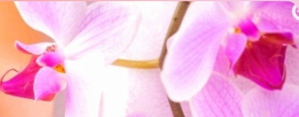 Красота с Любовью и Душою!