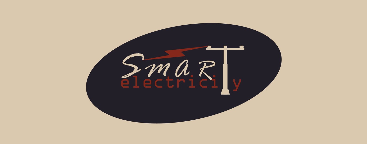 Smart Electricity