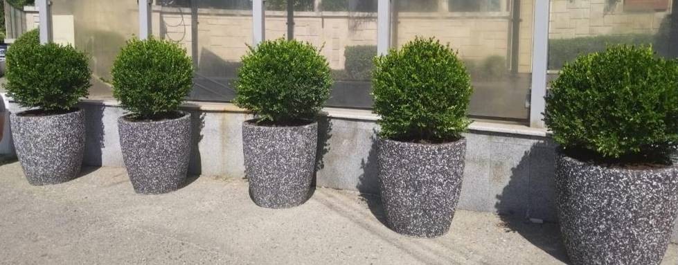 завод Итальянец