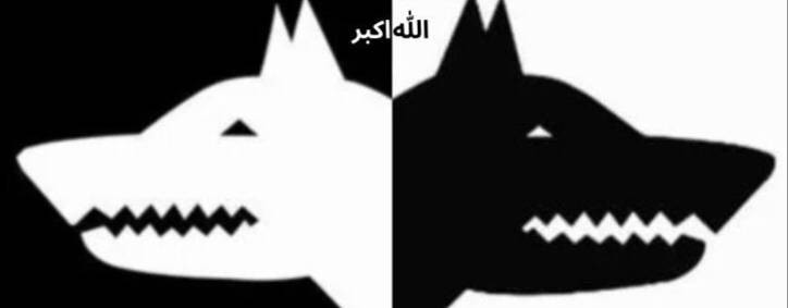 🎮FCGasanov1997🎮